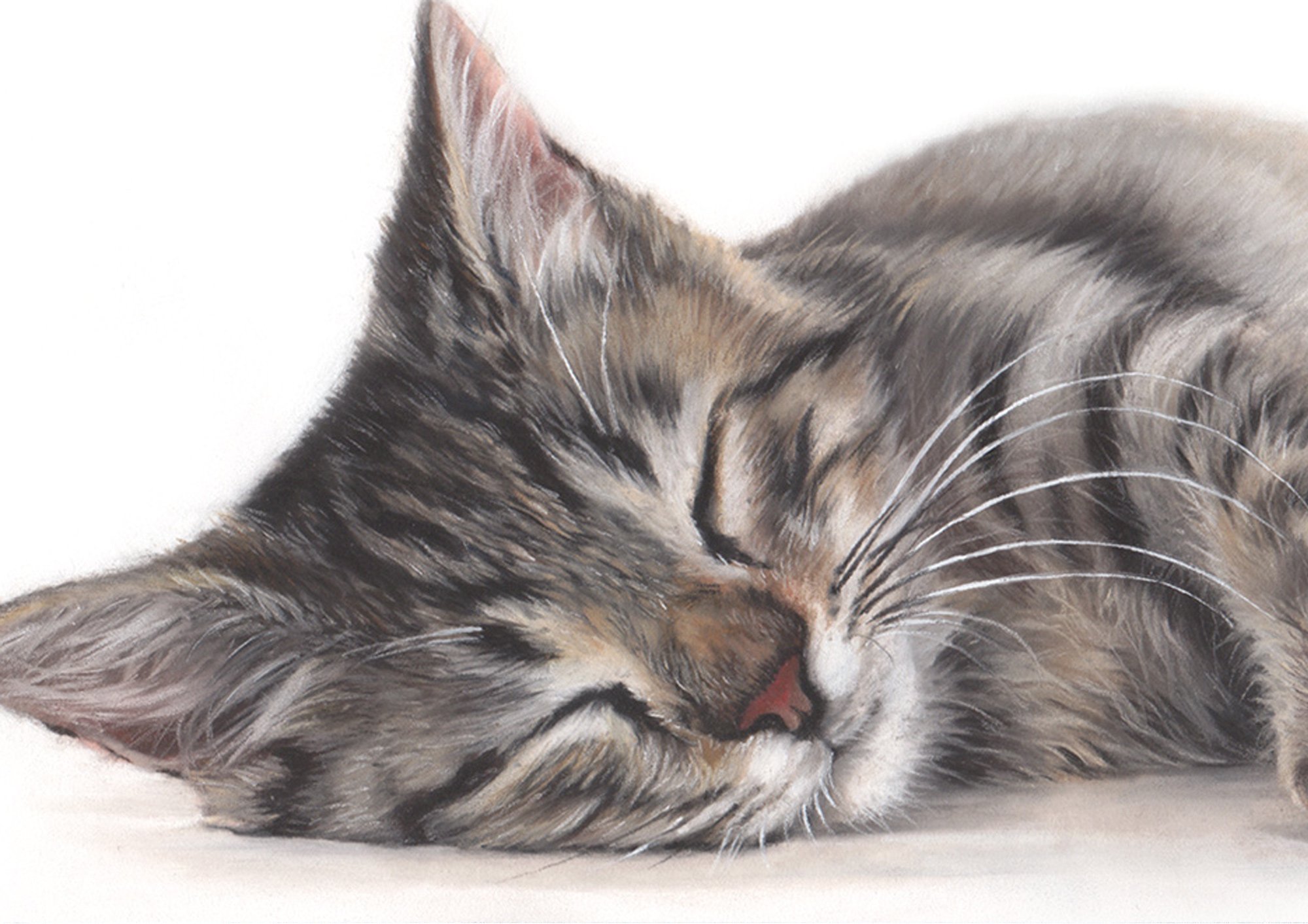 Cats - Marie Brown Fine Art