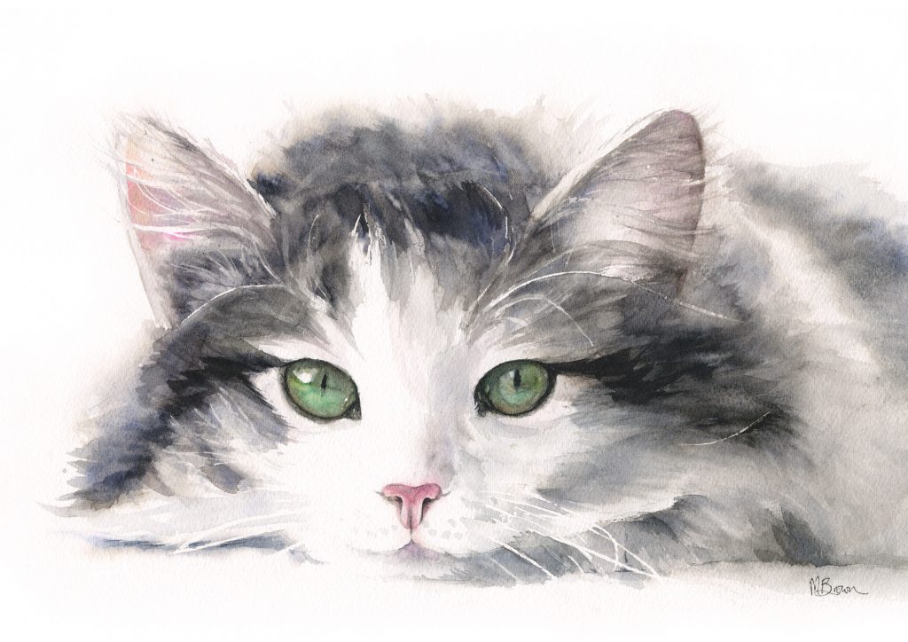 Grey & White Cat Print - Marie Brown Fine Art