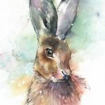 'Jack Hare' Print - Marie Brown Fine Art