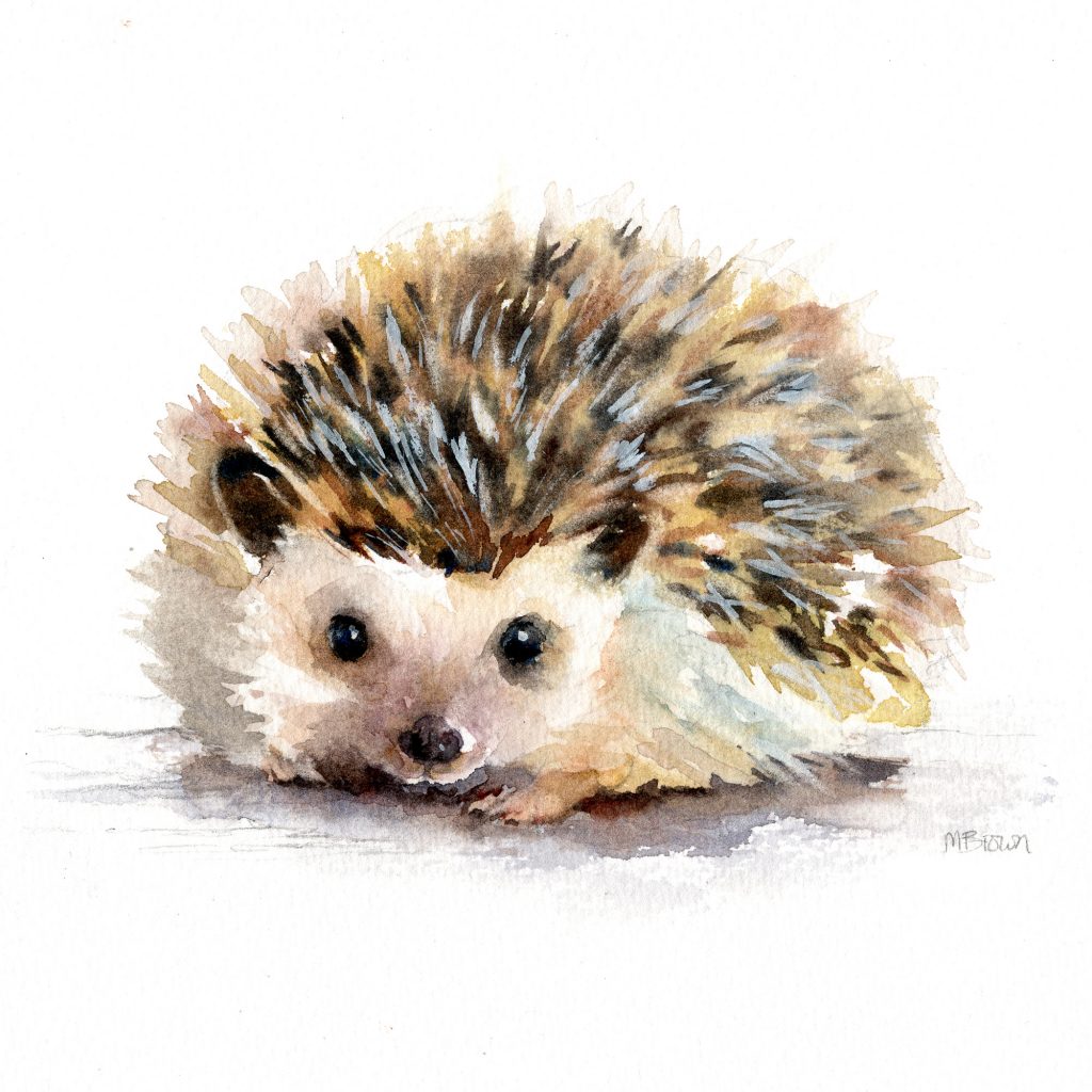 'Hetty' Hedgehog - Marie Brown Fine Art