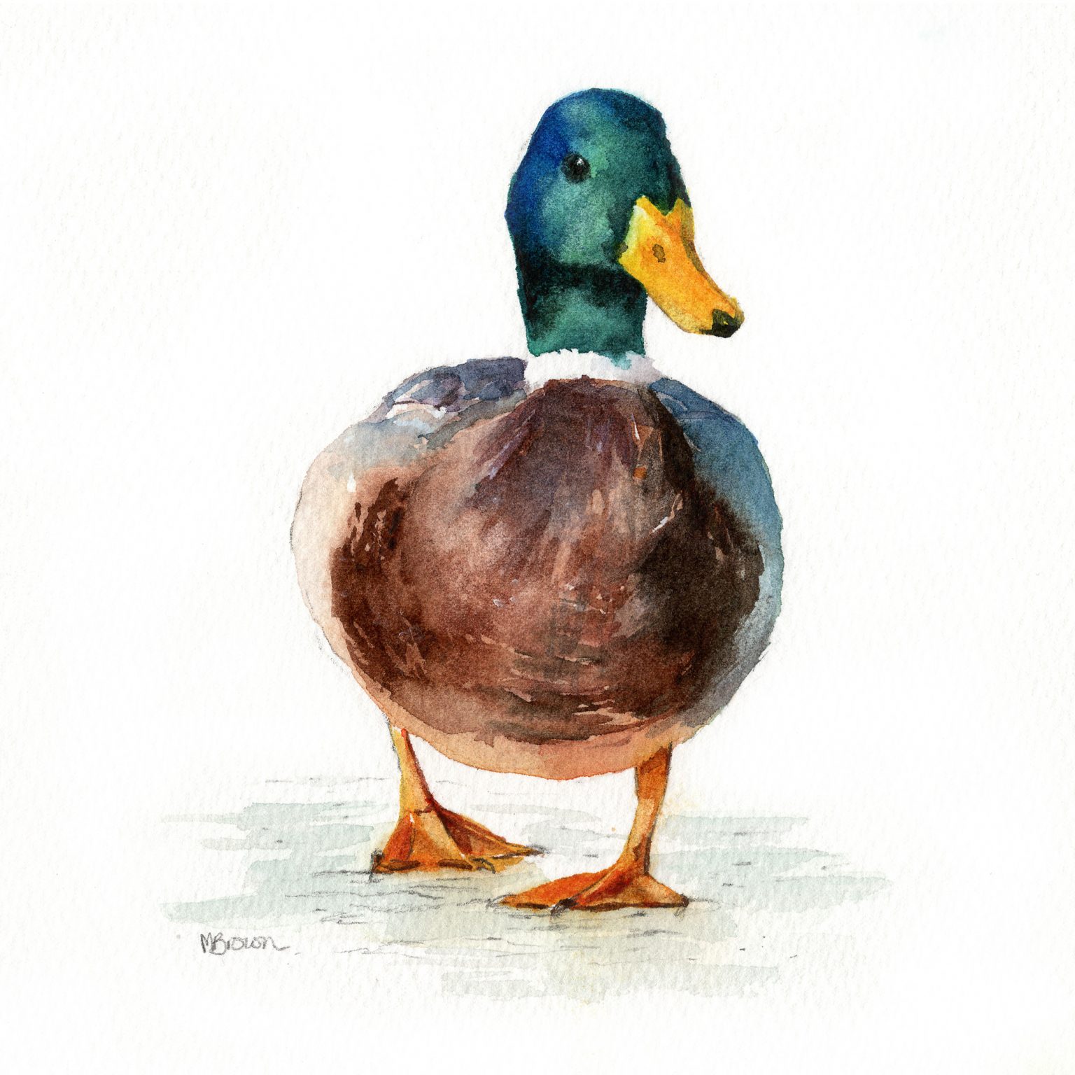'Doris' Duck - Marie Brown Fine Art