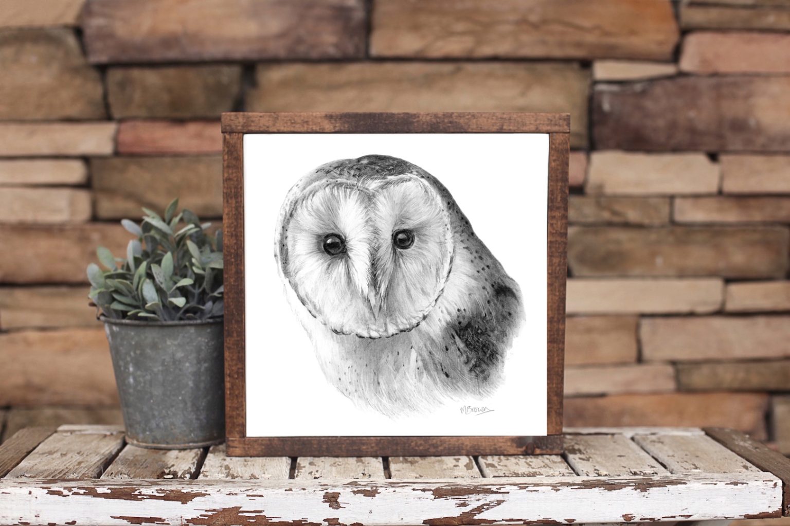 Barn Owl Sketch - Marie Brown Fine Art