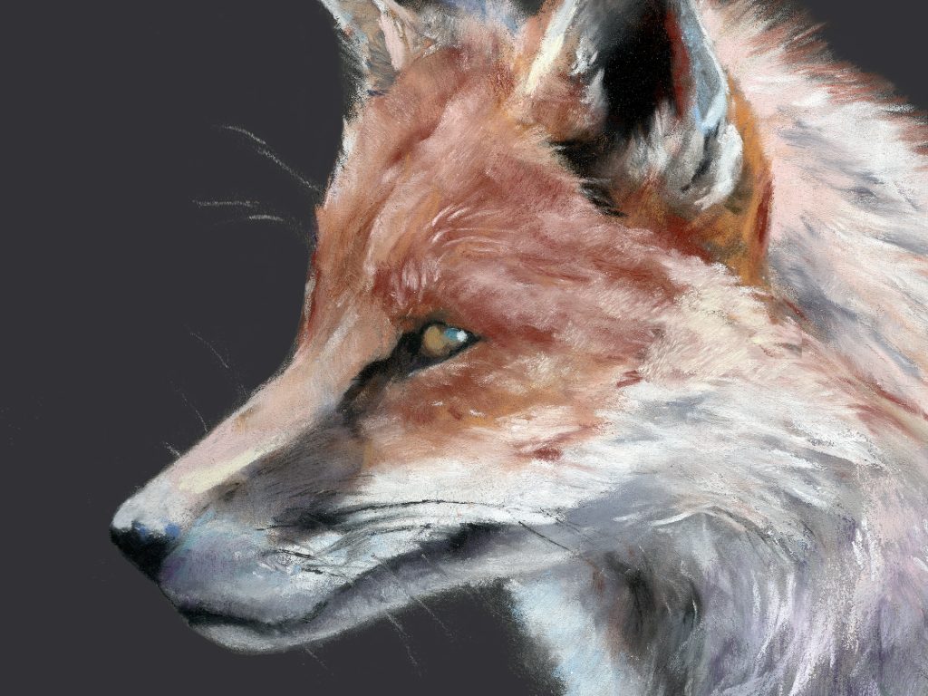 'Frank' Fox & 'Bobby' Badger - Marie Brown Fine Art