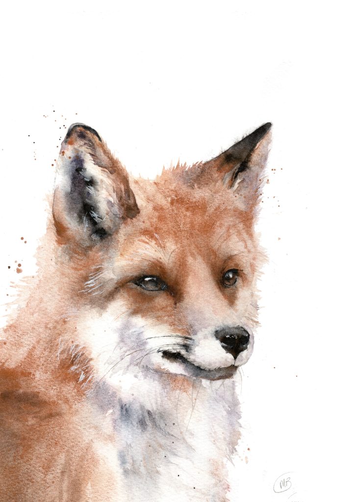 'Rusty' Fox - Marie Brown Fine Art
