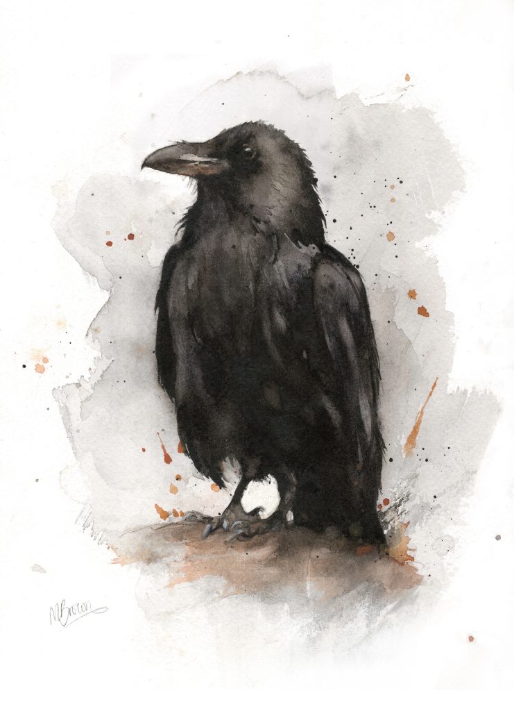 Raven Watercolour Painting Art Print - Marie Brown Fine Art