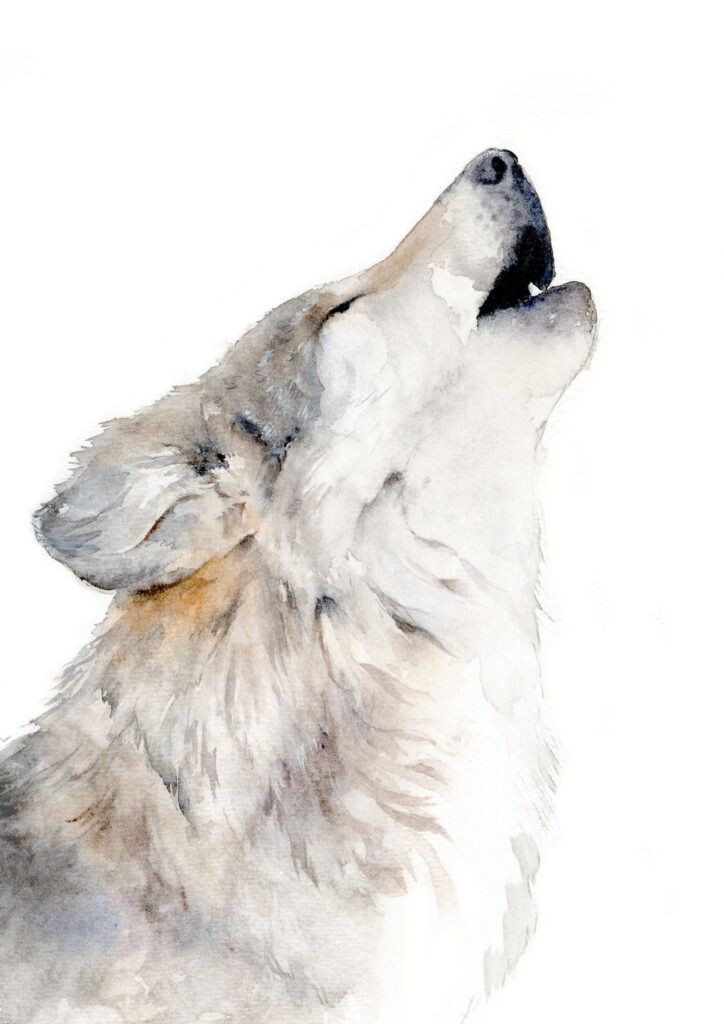 Wolf Watercolour Print - Marie Brown Fine Art